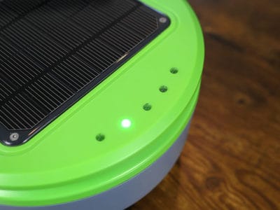 Tertill Review — We Test the Robot Weeder - Modern Castle