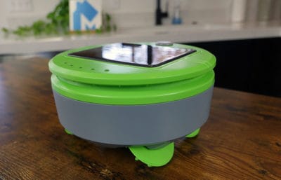 Tertill Review — We Test the Robot Weeder - Modern Castle