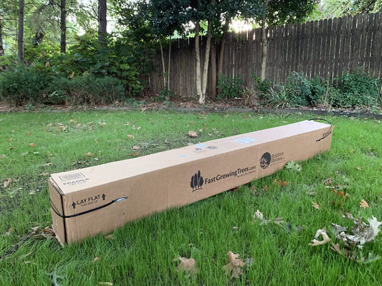 FastGrowingTrees.com Review - 2 Trees Ordered & Planted! - Modern Castle