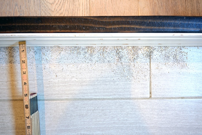 Shark Detect Pro Review - 12 Objective Cleaning Tests - Modern Castle